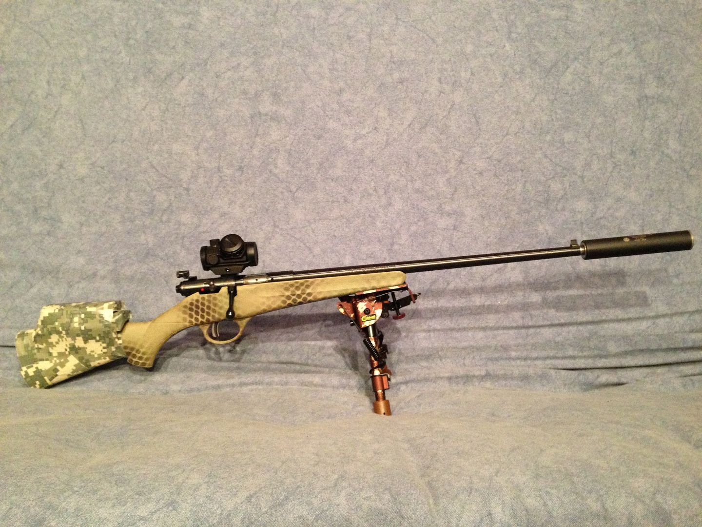 Thoughts on Savage Rascal? How do you mount red dots? > 10/22 & 22 Caliber Rifles > AR15.COM